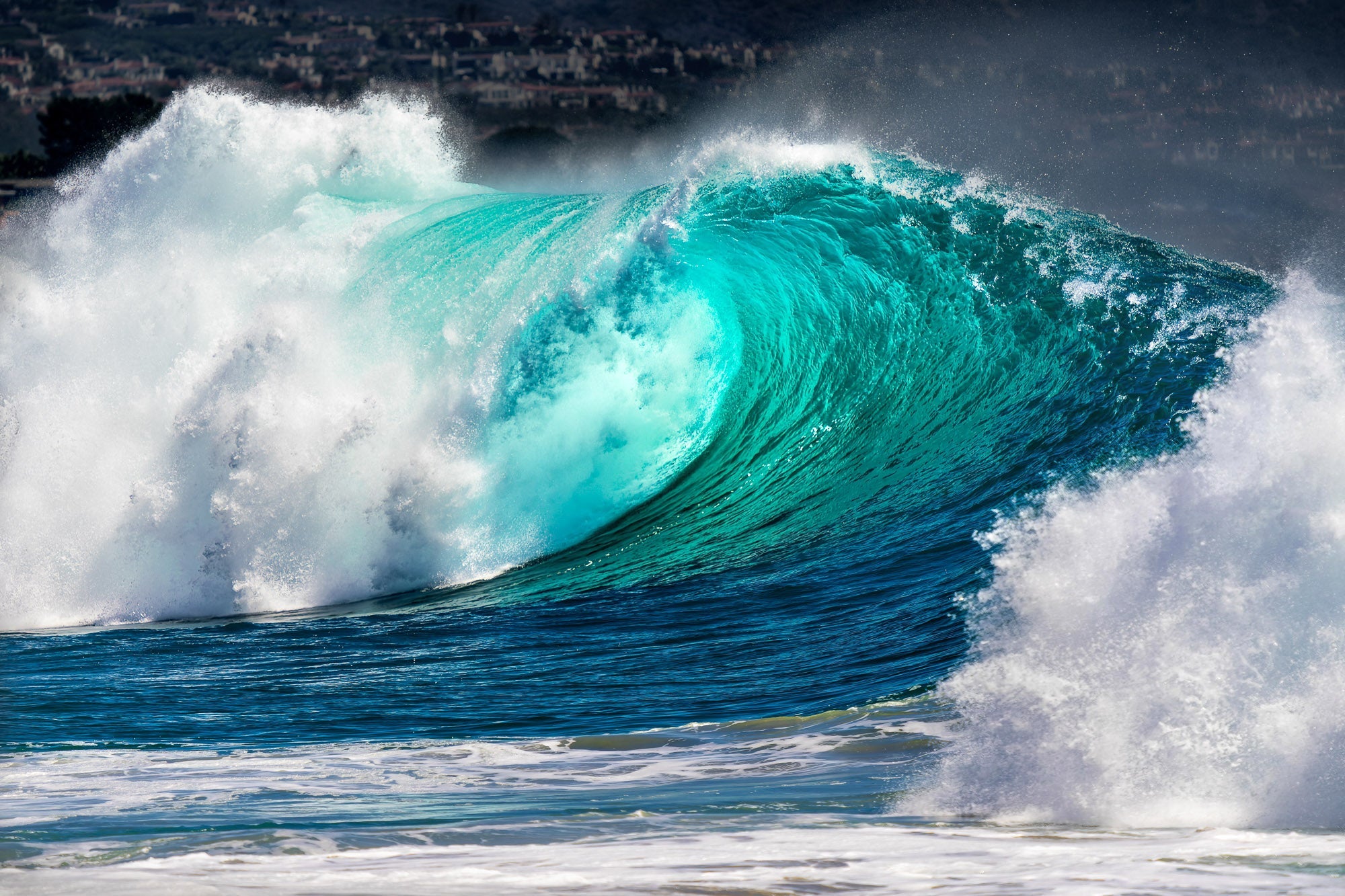 The "Salt" Collection Carlsbad Oceanside Encinitas La Jolla Cardiff ...