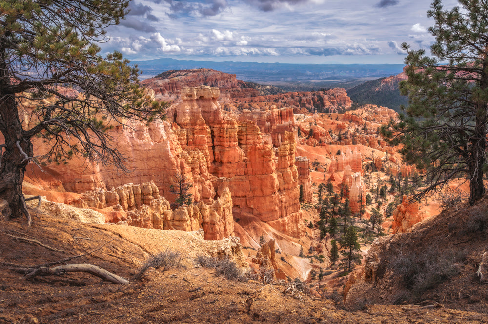 The "Rock" Collection Tagged "Bryce Canyon" - Craig Meyer Photography
